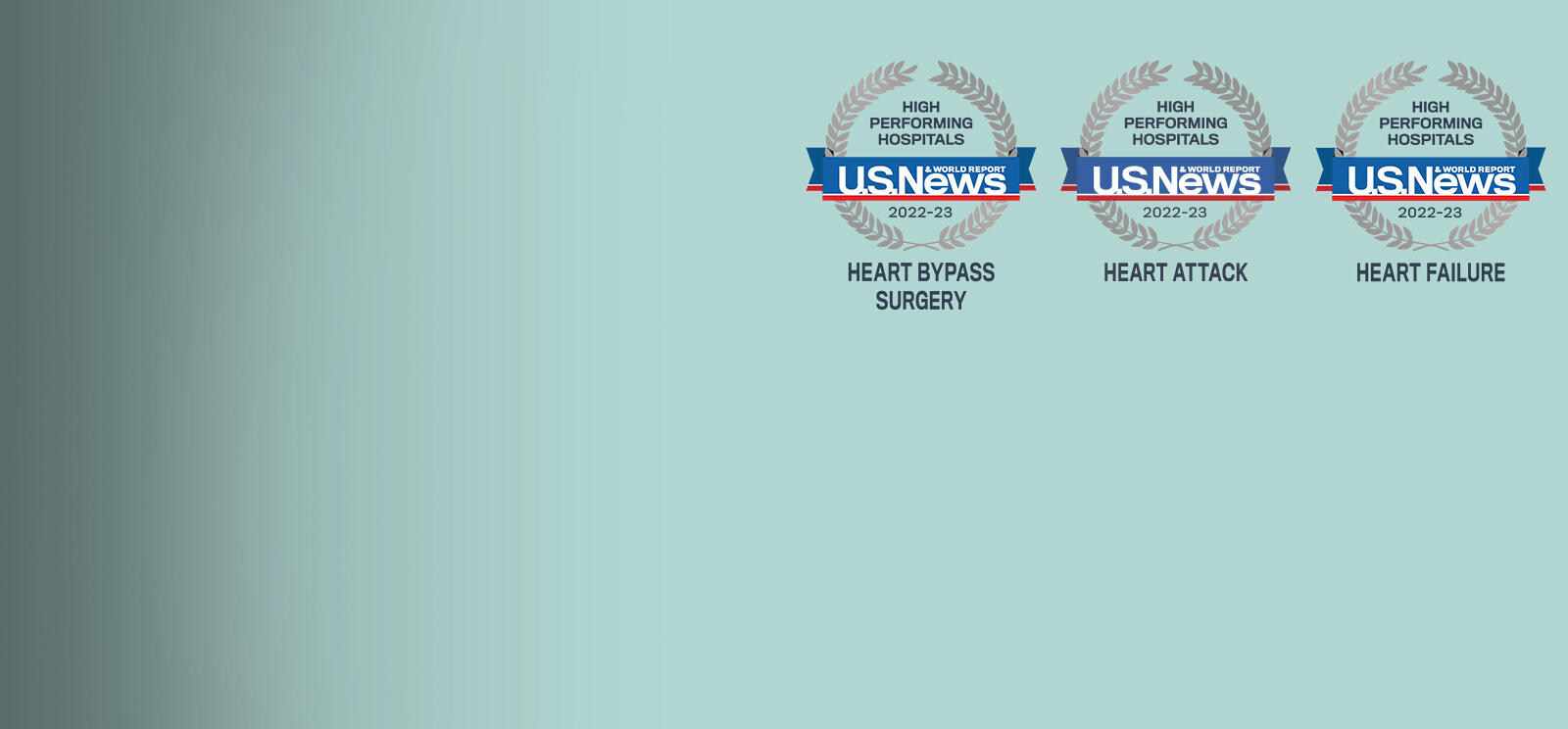 Stony Brook Heart Institute | Stony Brook Heart Institute